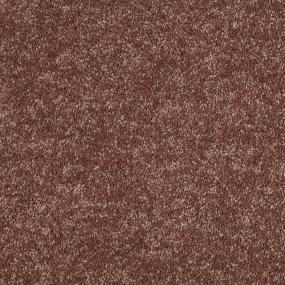 Dutch Mocha 12' Texture Carpet: Downtime 12' | ProSource Wholesale